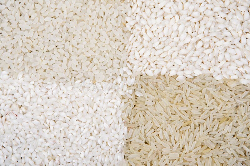 Various Color and Shape Varieties of Rice Stock Image - Image of indian ...