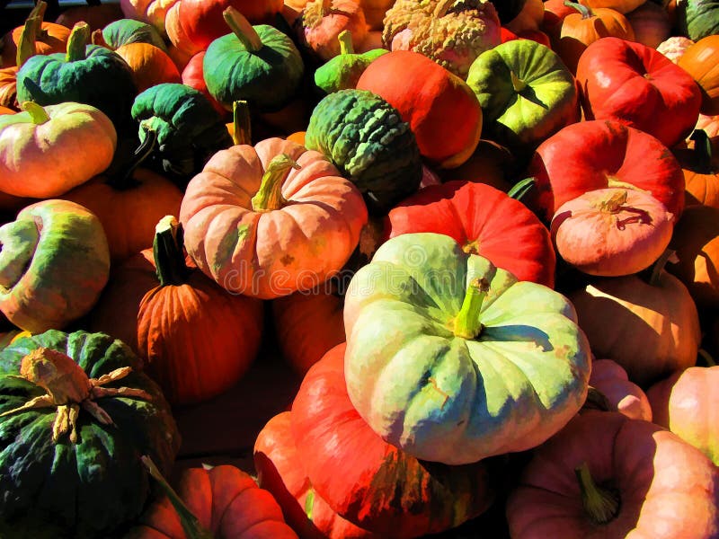 Various Colorful Fall Colored Pumpkins Digitally Painted Stock Photo ...
