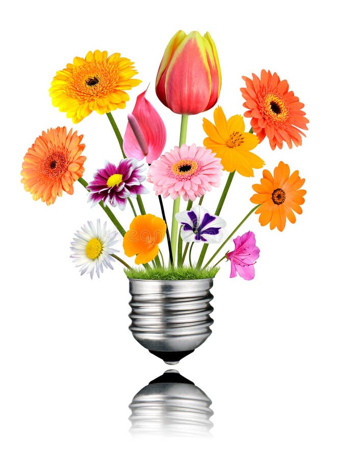 Various Colorful Flowers Growing Out of Light Bulb Stock Photo - Image ...