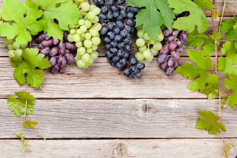 Various Colorful Grapes on Wooden Table Stock Image - Image of ...
