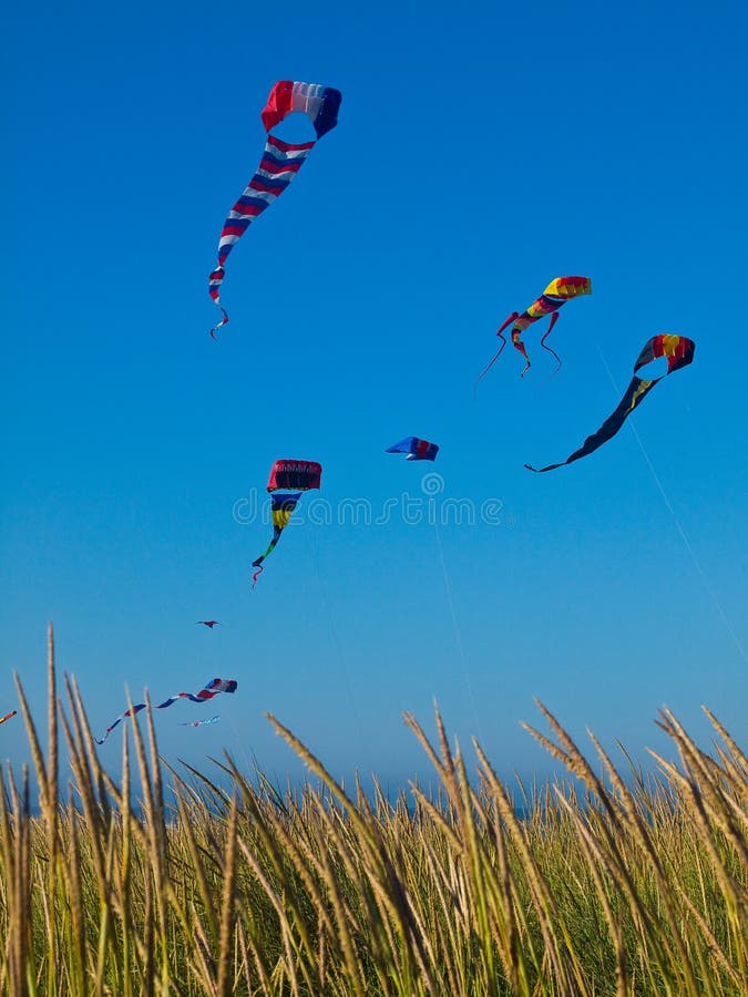 Various Colorful Kites Flying Stock Image - Image of playful, grass ...