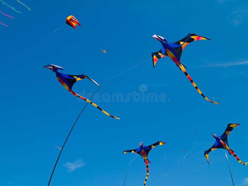 Colorful Pterodactyl Kite Flying Stock Photo - Image of outdoor, color ...