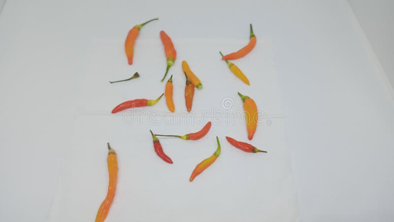 629 Cabe Stock Photos - Free & Royalty-Free Stock Photos from Dreamstime