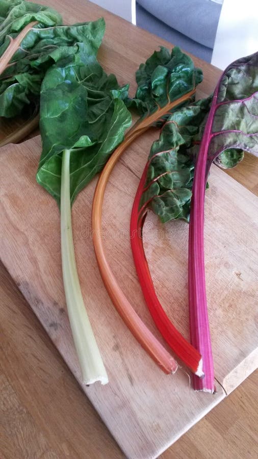 Colorful Chards stock photo. Image of chards, colorful - 115995496