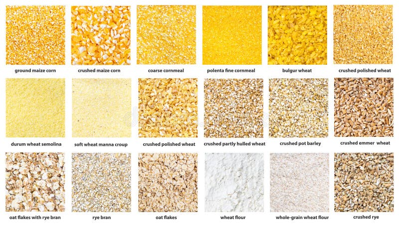 Set of Various Wheat Grains in Bowls with Names Stock Photo - Image of ...
