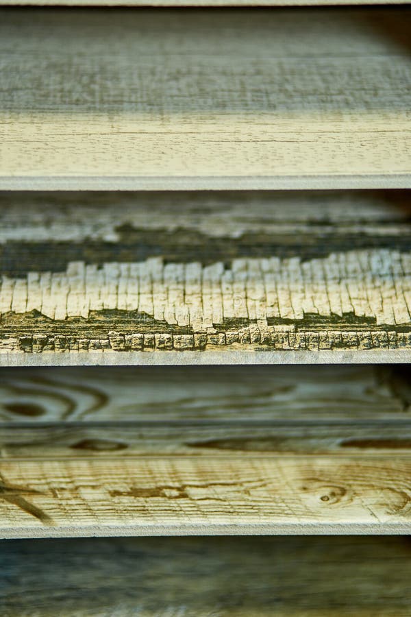 Various Decorative Tiles Samples. Colorful Samples of a Stone Tile in ...