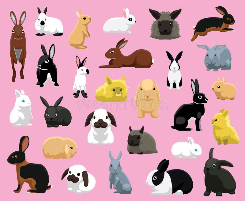 Various Domestic Rabbit Breeds Cartoon Vector Illustration Stock Vector ...