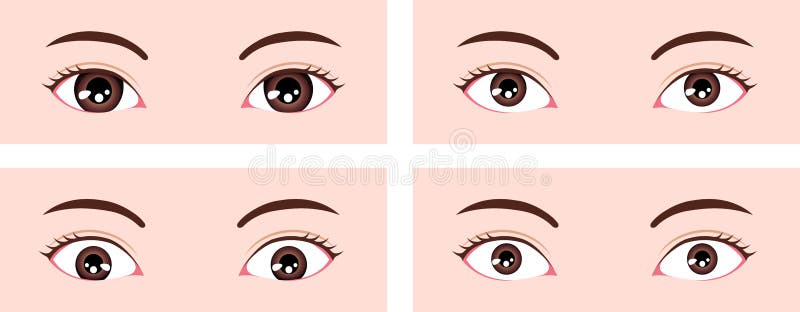 Various Eye Shapes Different Eyeball Size and Position Vector ...
