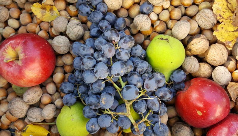 Various Fall Fruits Top View Image Stock Photo - Image of colors, detox ...