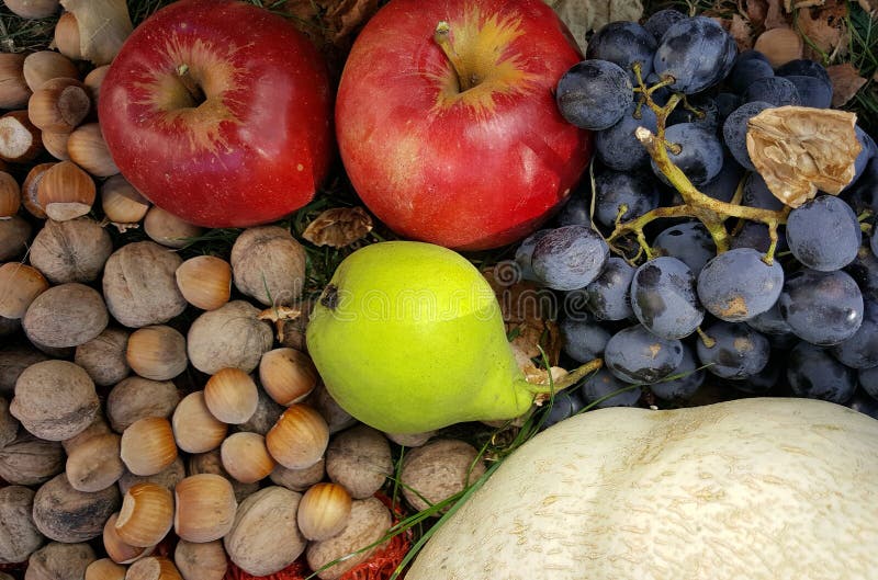 Various Fall Fruits Top View Image Stock Image - Image of ingredient ...