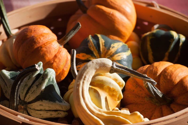 Various Fall Vegetables in a Basket Stock Image - Image of agriculture ...