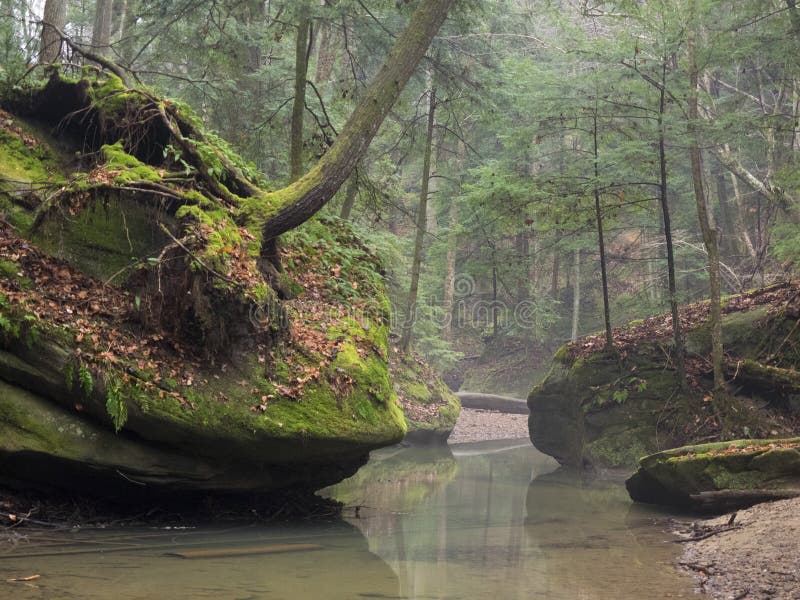 Rock Formations with Vegetation and Trees Stock Photo - Image of empty ...
