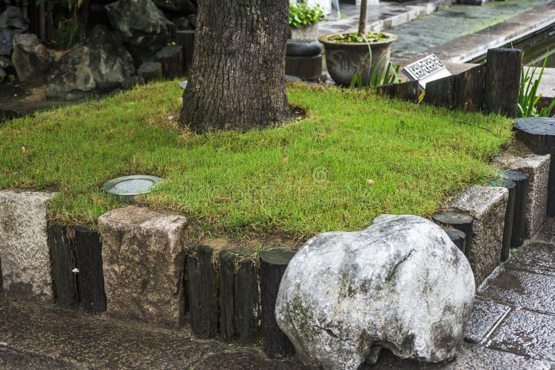 Various Fences at the Root of the Tree in the East Gate of the Old Gate ...
