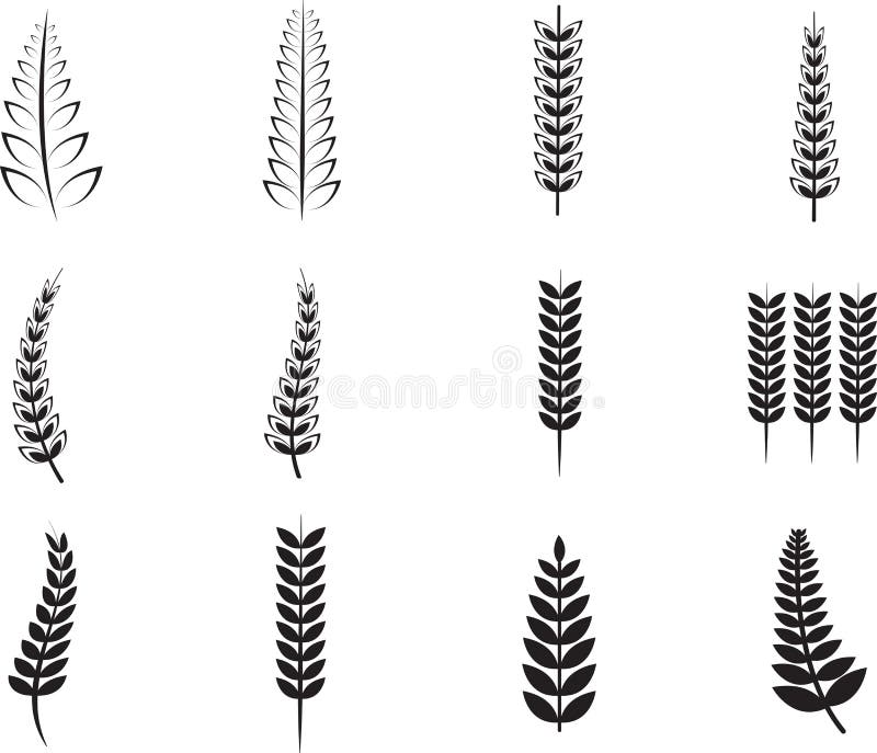 Ferns Icon Stock Illustrations – 193 Ferns Icon Stock Illustrations ...
