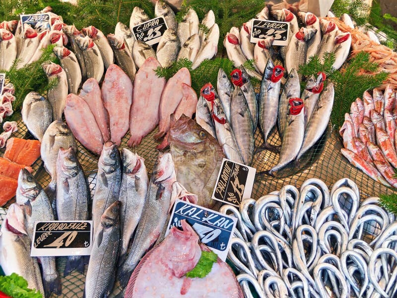 Various Fish on the Counter Fish Shop. Stock Photo - Image of healthy ...