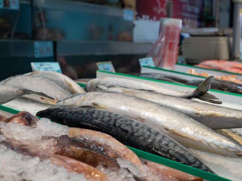 Various Fish Sitting on Ice in Grocery Store Seafood Section for ...