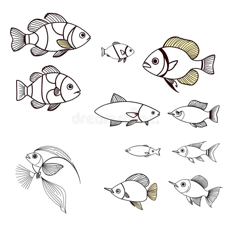 Various Fish Swimming Illustration Black and White Stock Illustration ...