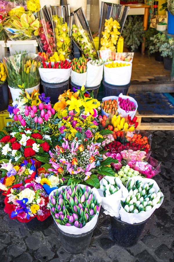 Various Flowers and Plants in a Small Flower Shop Stock Photo - Image ...