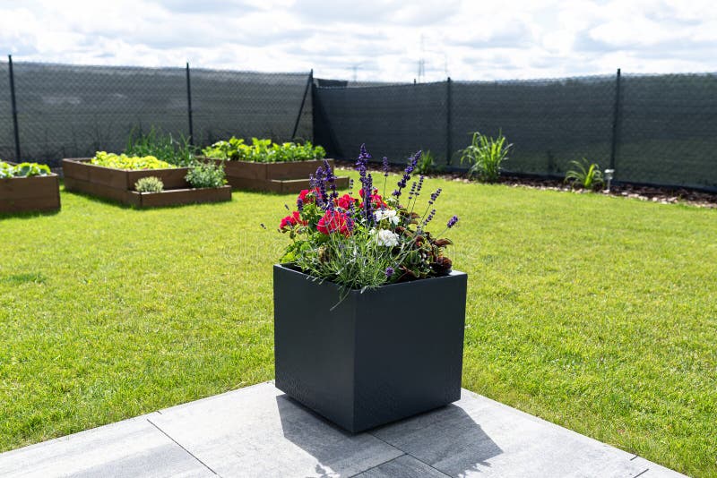 Various Flowers Standing on the Terrace in a Large Pot on Wheels, Lawn ...