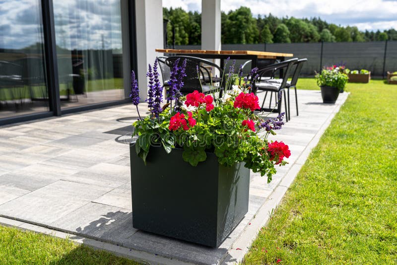 Various Flowers Standing on the Terrace in a Large Pot on Wheels, Lawn ...