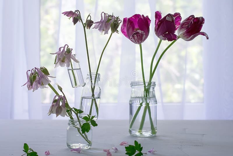 Various Flowers in Vases on a Table Near the Window Stock Photo - Image ...