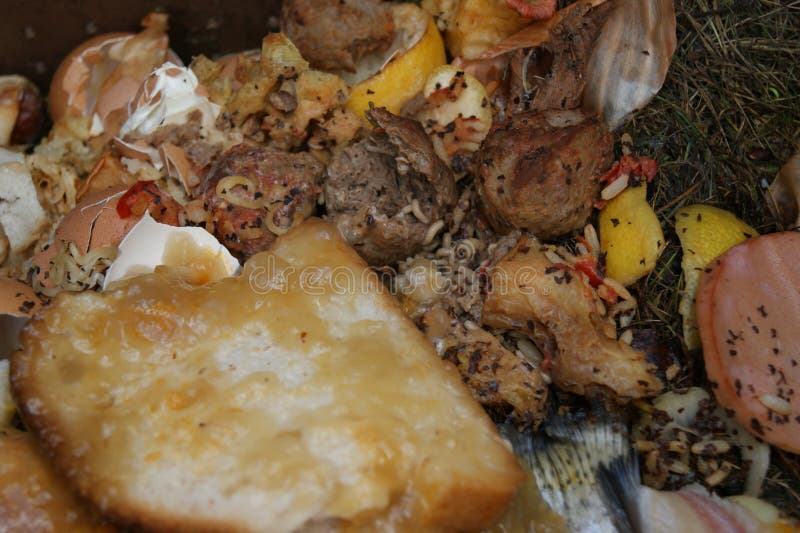 Various Food Waste Close-up. Processing of Food Waste. Stock Image ...