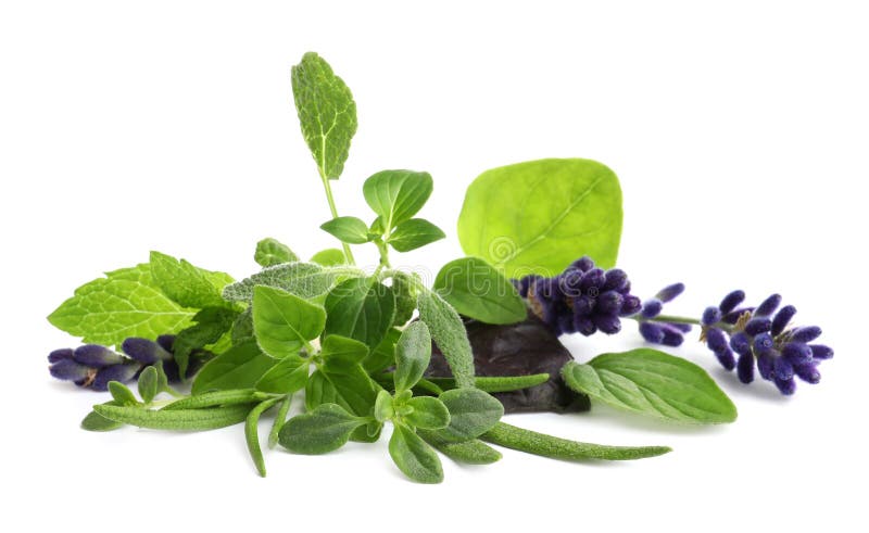 Various Fresh Aromatic Herbs on Background Stock Photo - Image of fresh ...