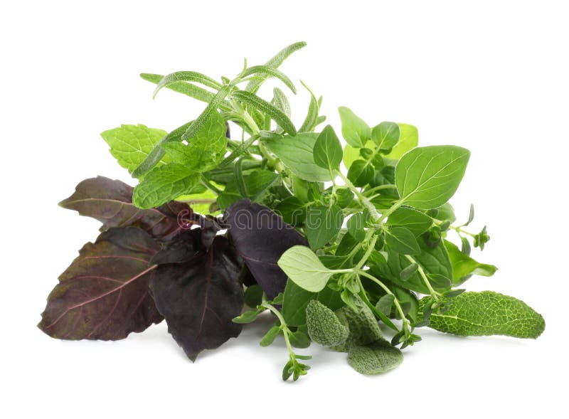 Various Fresh Aromatic Herbs on White Background Stock Image - Image of ...
