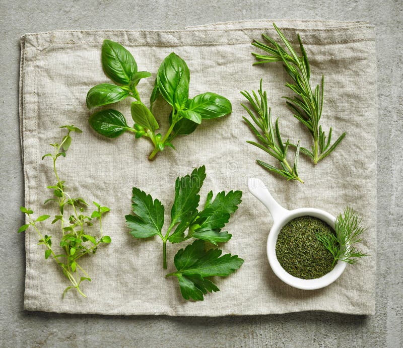 Various fresh herbs stock image. Image of cooking, gray - 72163645