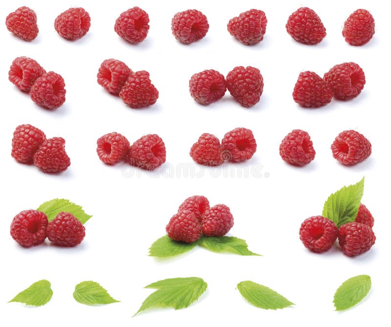Various fresh raspberries stock image. Image of organic - 16607573
