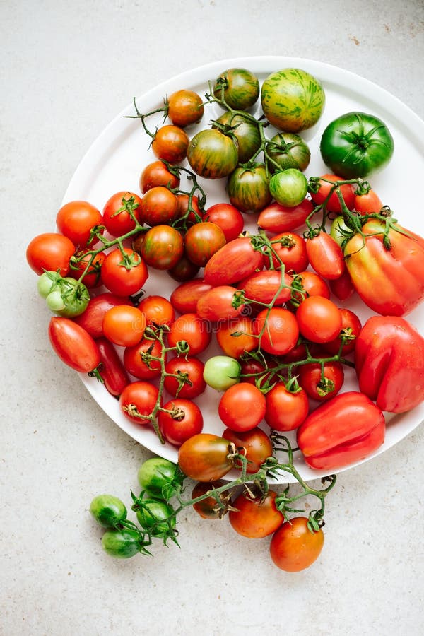 Various Fresh Ripe Tomatoes Stock Image - Image of vegan, type: 254858751