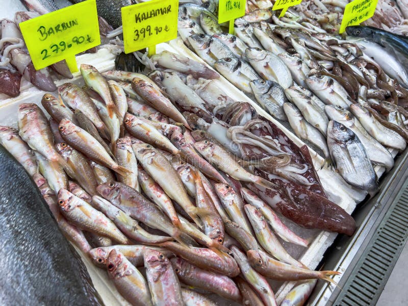 Various Freshly Caught Fish Ready for Sale at the Stall at the Fish ...
