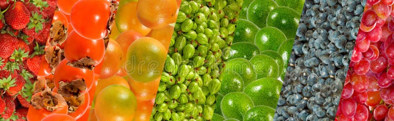 Various Fruits Arranged in the Order of the Colors of the Rainbow Stock ...