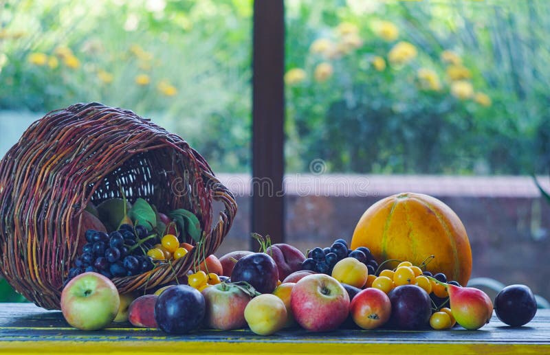 Various Fruits on the Table Stock Image - Image of pear, fruit: 254685225