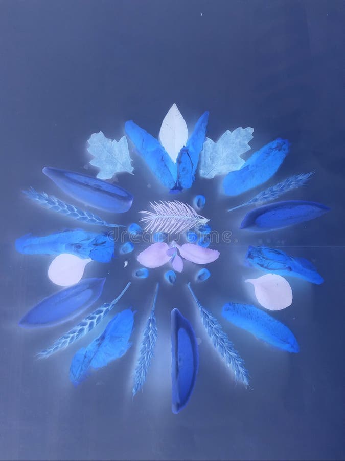 Various Fruits in Unusual Colors Stock Photo - Image of screenshot ...