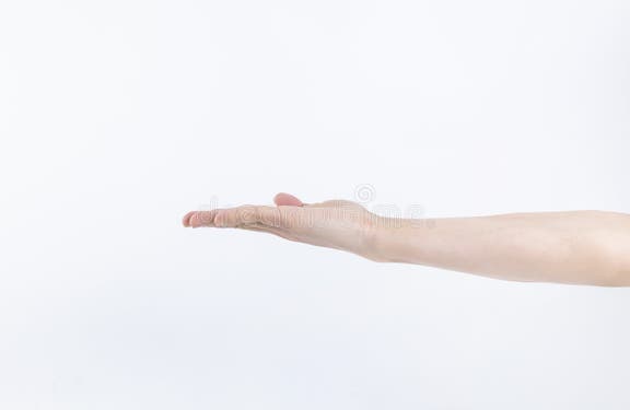 The Various Gestures of One Hand Stock Image - Image of concept, adult ...