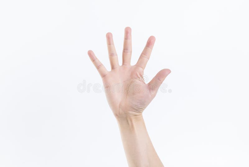 The Various Gestures of One Hand Stock Photo - Image of grab, clear ...
