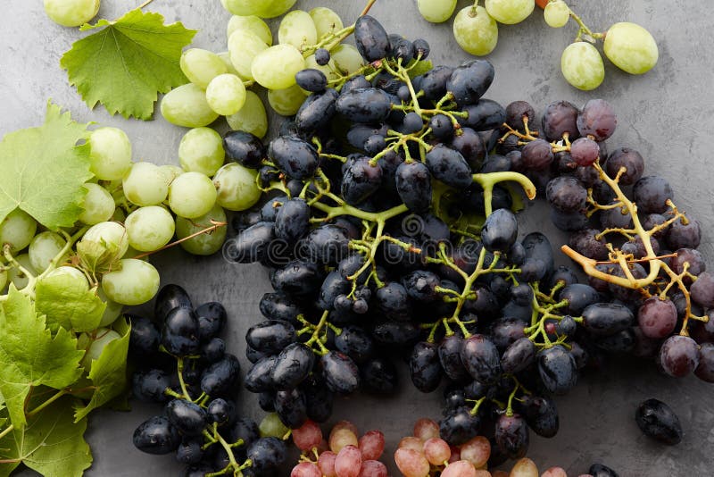 Various Grape Crops on Gray Stone Background Stock Image - Image of ...