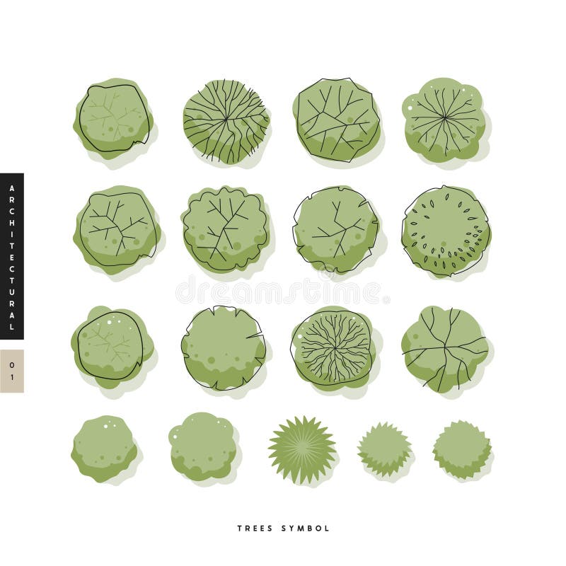 Various Green Trees, Bushes and Shrubs, Top View for Landscape Design ...