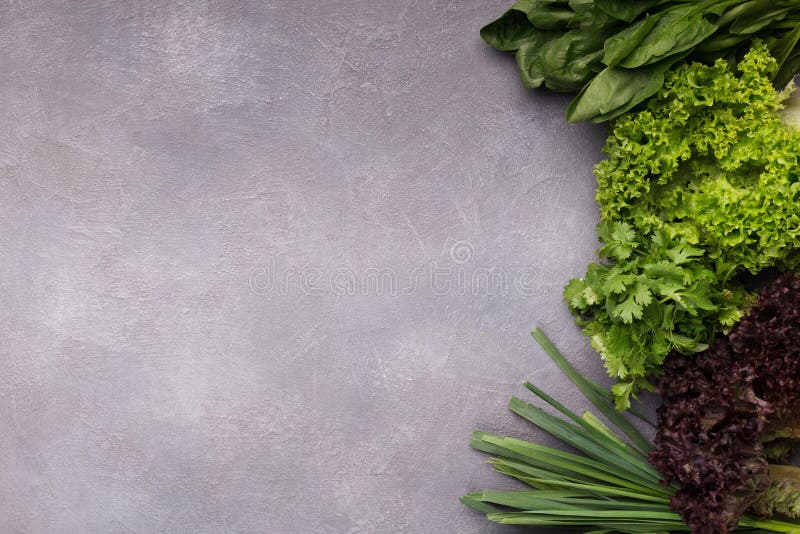 Various Greenery on Gray Background, Top View Stock Photo - Image of ...