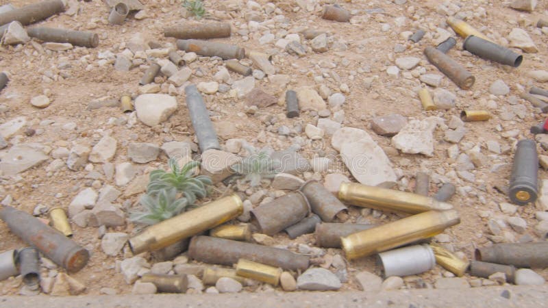 Red Shotgun Shells on a Black Surface. Ammunition for 12 Gauge ...