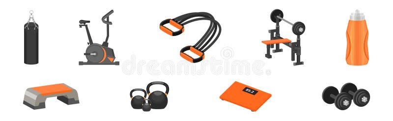 Various Gym Equipment and Training Apparatus Vector Set Stock Vector ...