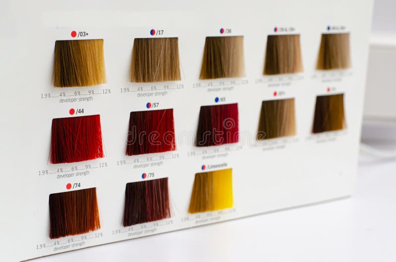Various Hair Dye Sample Chart. Hair Coloristic Stock Photo - Image of ...