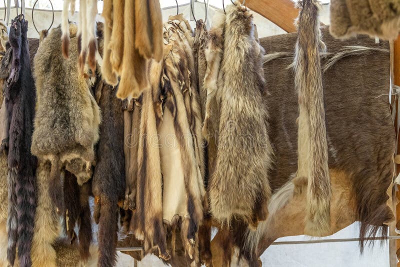 Fur variation stock photo. Image of rural, cloth, dense - 150586294