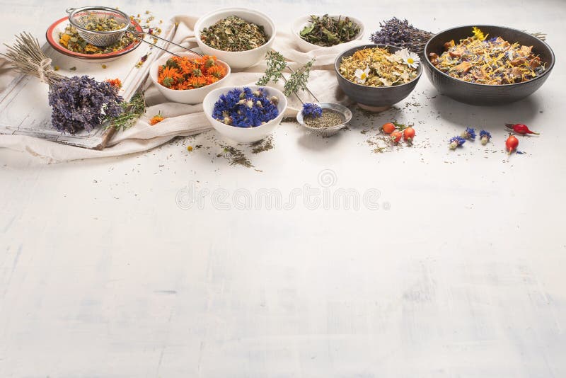 Various Herbal Tea. Top View Stock Image - Image of herbs, medicinal ...