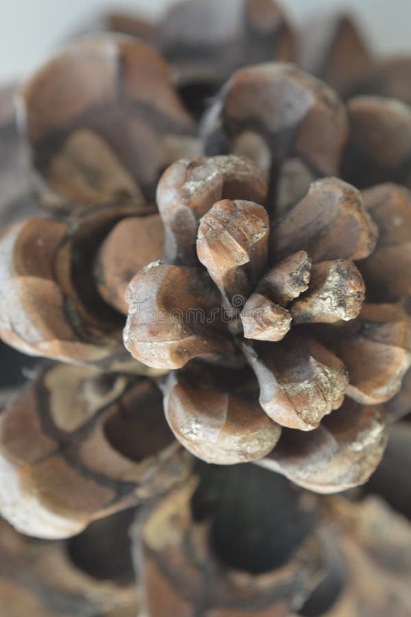 Various Household Textures and Objects Close-up Stock Photo - Image of ...