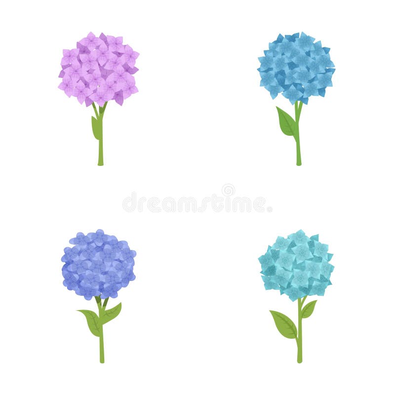 Various Hydrangea Icons Set Cartoon Vector. Colorful Hydrangea Flower ...
