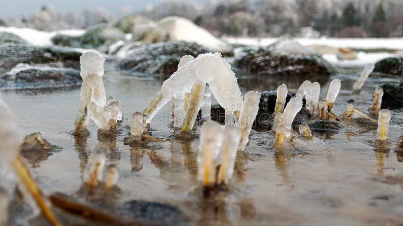 Various Ice Formations on Rocks and Sandbars on the Seashore, Ice ...