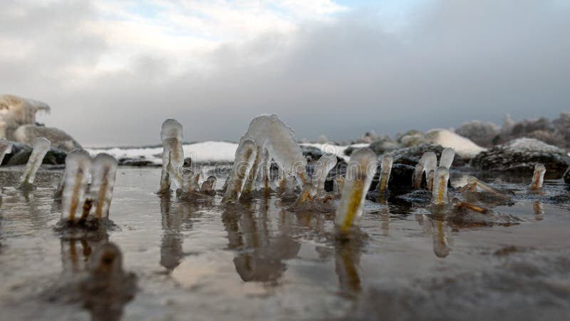 Various Ice Formations on Rocks and Sandbars on the Seashore, Ice ...