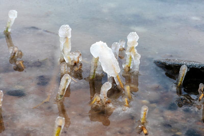 Various Ice Formations on Rocks and Sandbars on the Seashore, Ice ...